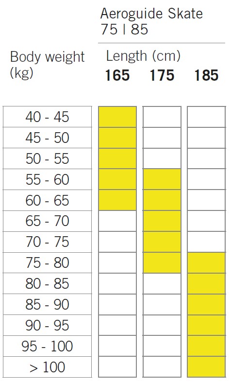 Lyže Fischer Aeroguide Skate 75 NP27324+vázání Control Skate 2025/26 | Bike Sport